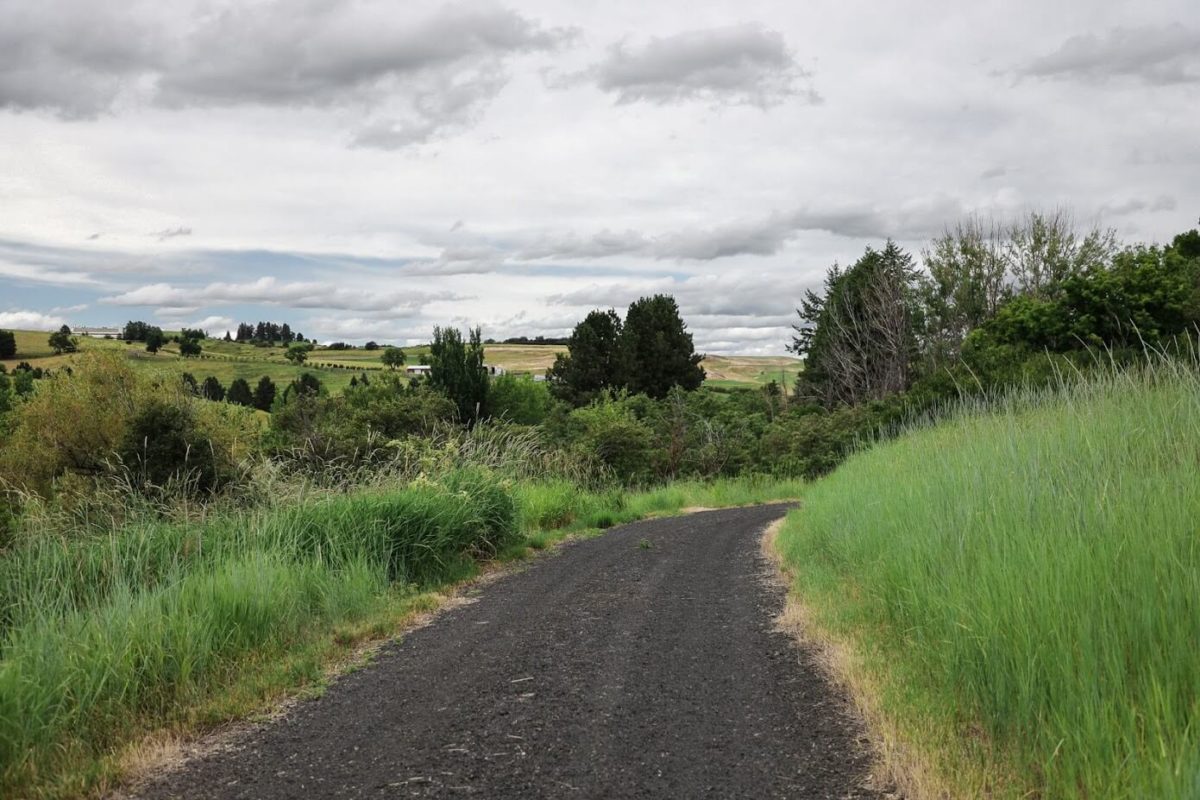 Spending A Day In Pullman, Washington - Explore Washington State