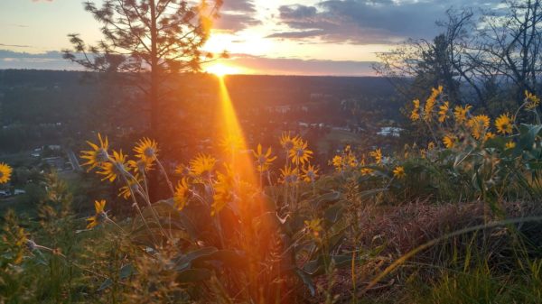 5 Easy Day Hikes Near Spokane For Outdoor Adventure