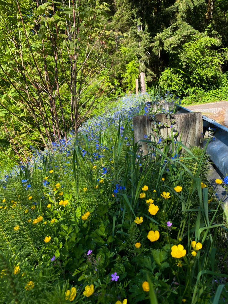 Exploring Dash Point State Park - Explore Washington State