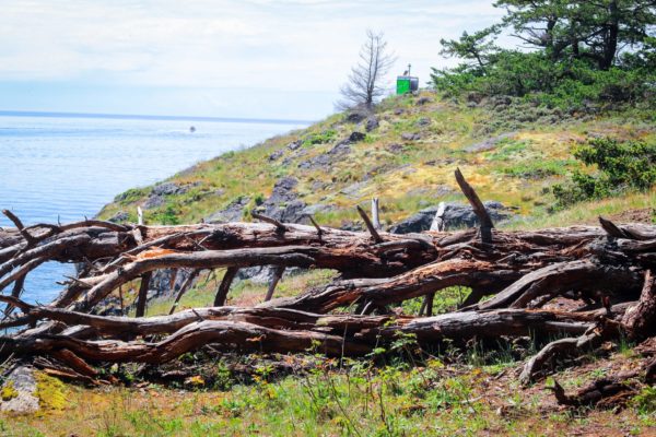 Explore Deception Pass: A Day In Washington's Paradise