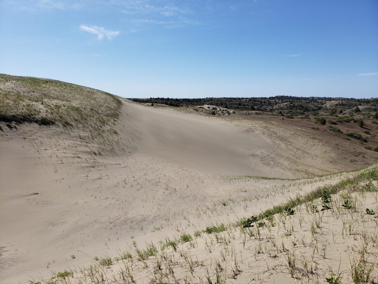 Exploring The Juniper Dunes Wilderness Area - Explore Washington State