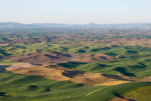 Exploring The Palouse - Explore Washington State