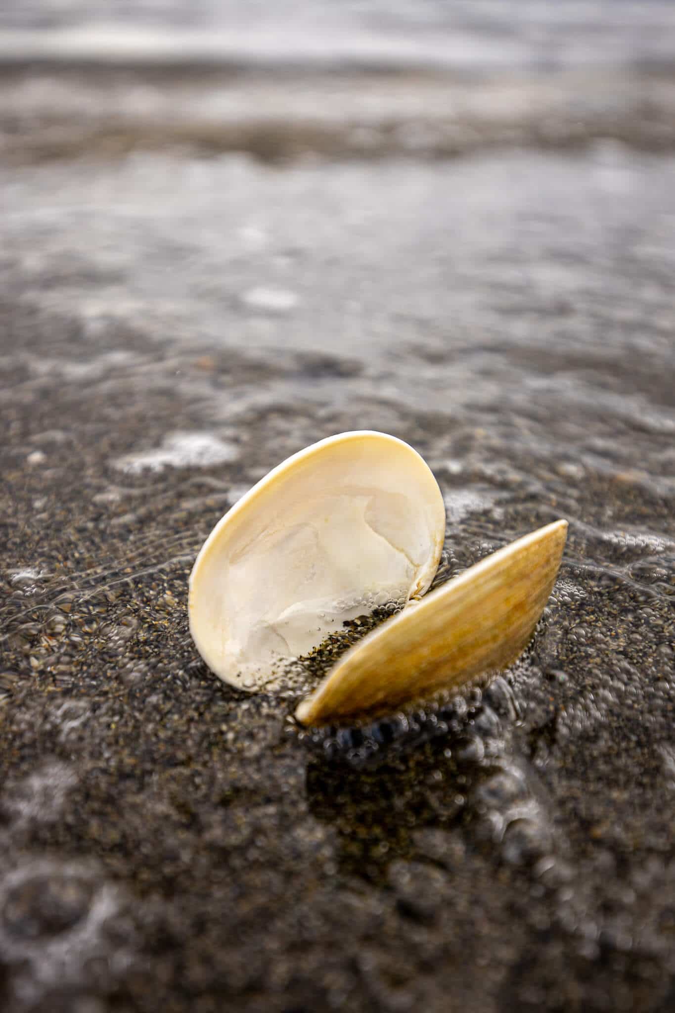 Spending a Day on Whidbey Island - Explore Washington State