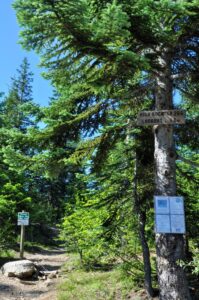 Conquering High Rock Lookout Trail - Explore Washington State
