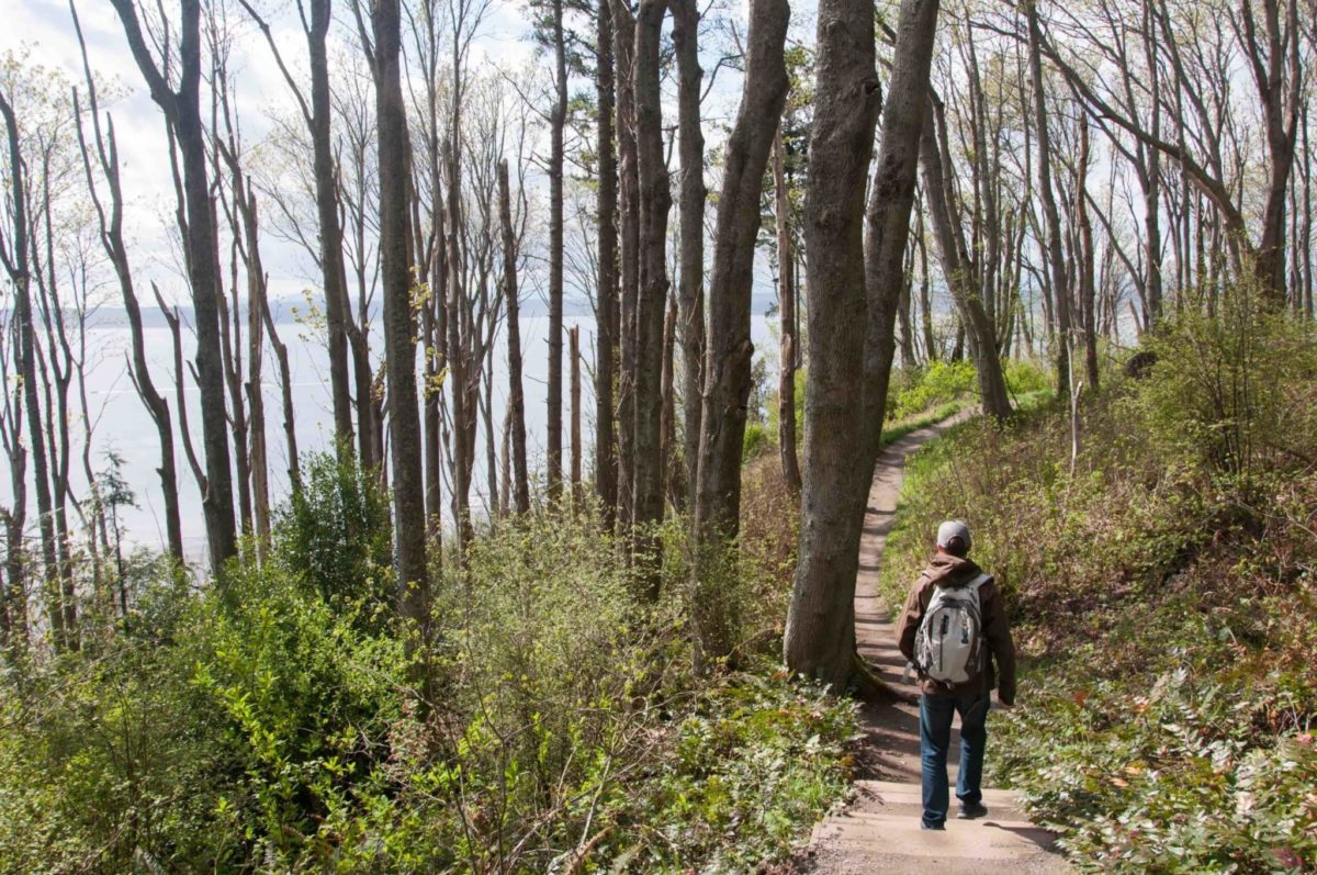 Exploring Discovery Park In Seattle - Explore Washington State