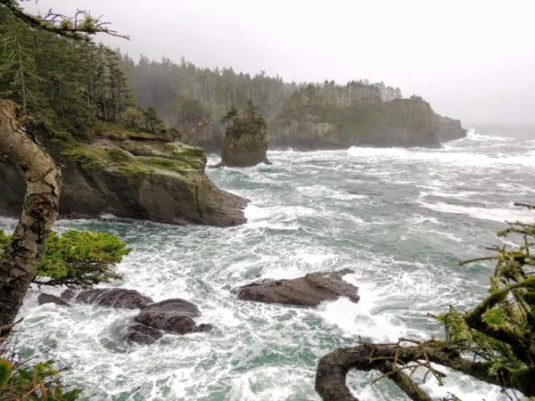 Enjoy A Weekend In Sequim: A Hidden Gem In Washington