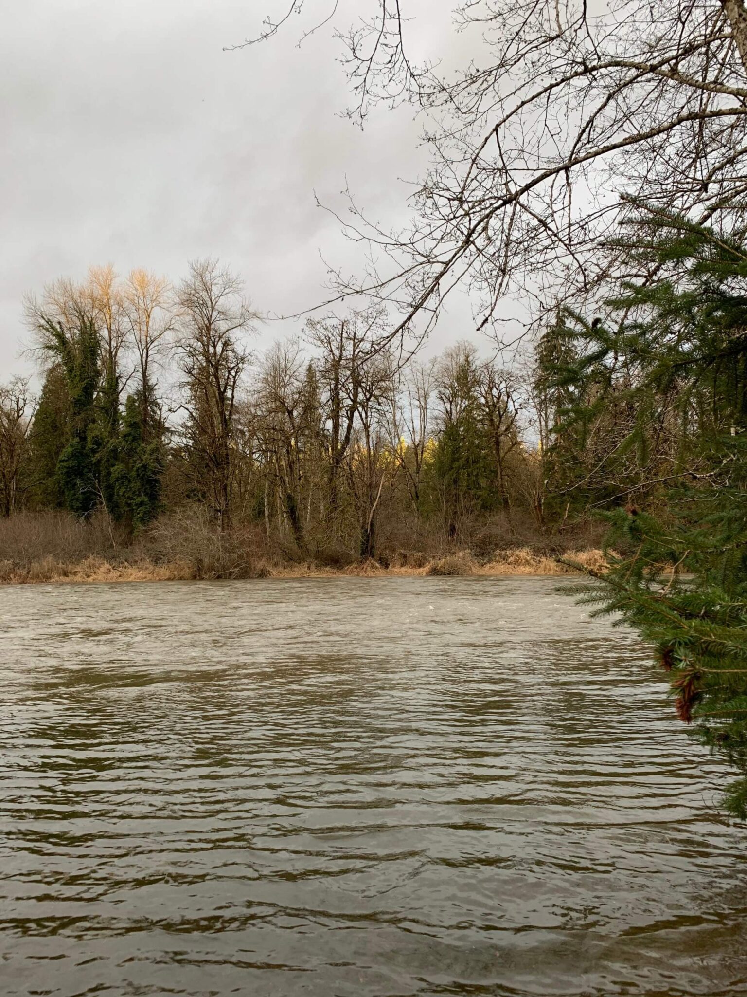 Exploring Flaming Geyser State Park - Explore Washington State