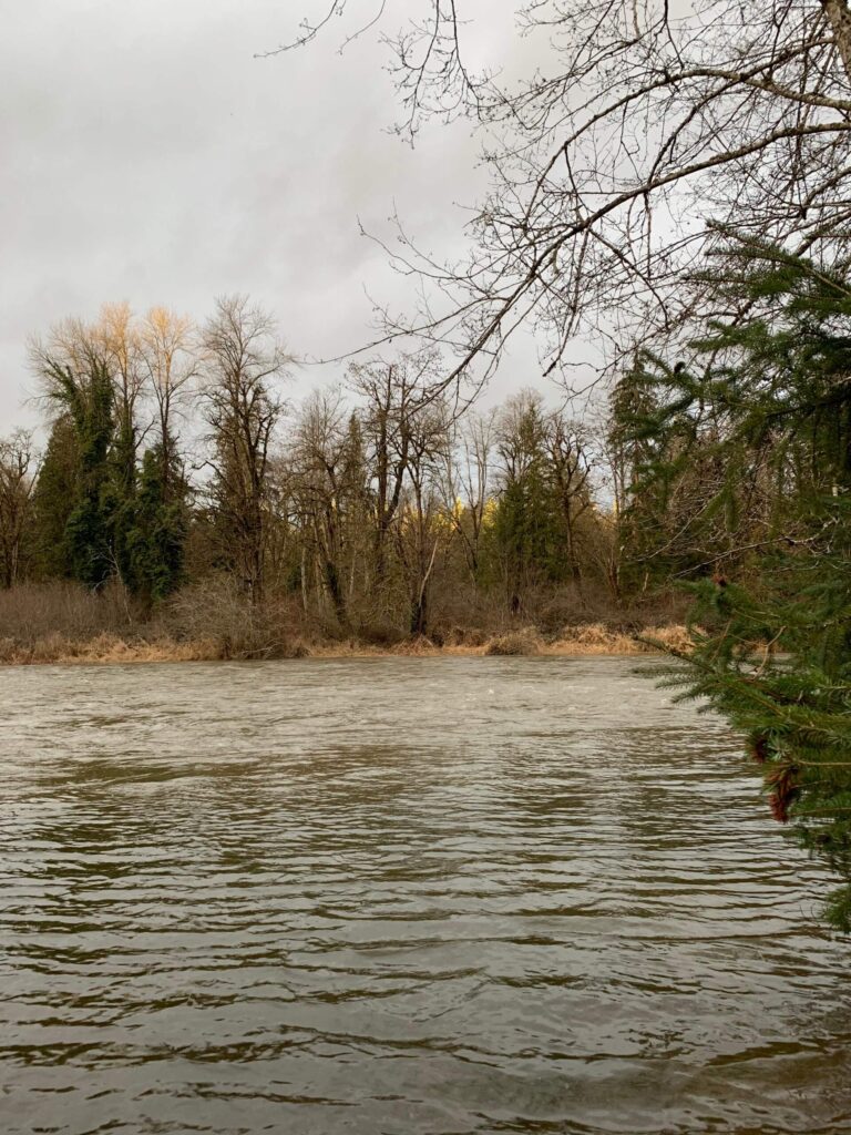 Exploring Flaming Geyser State Park - Explore Washington State