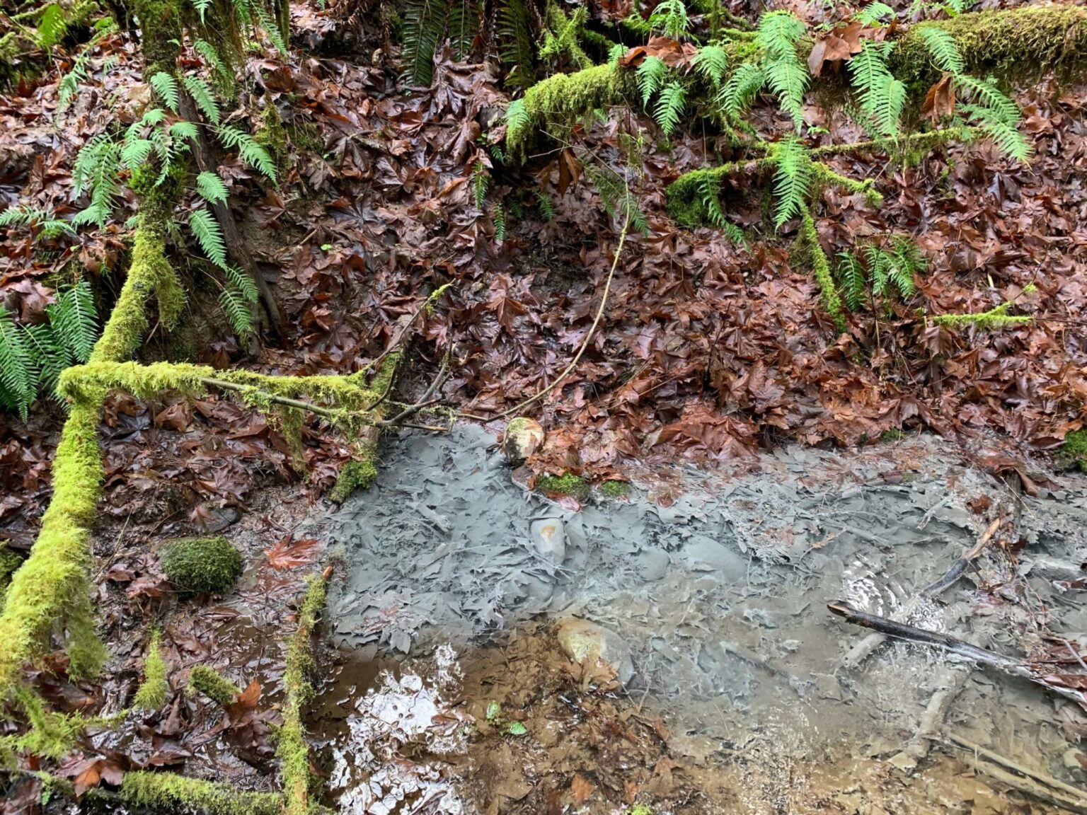 Exploring Flaming Geyser State Park - Explore Washington State