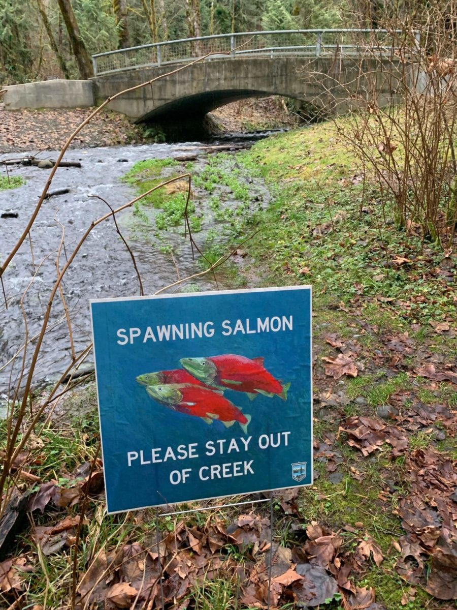 Exploring Flaming Geyser State Park - Explore Washington State
