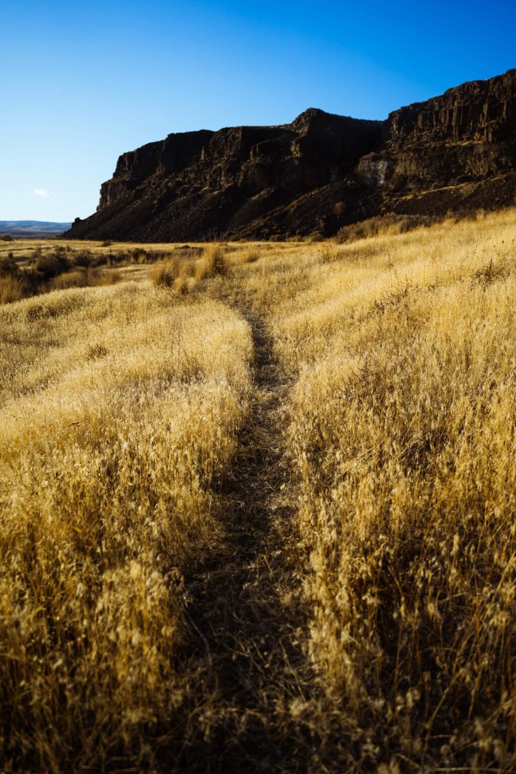 Discover Ancient Lakes Trail: A Hidden Gem In Washington