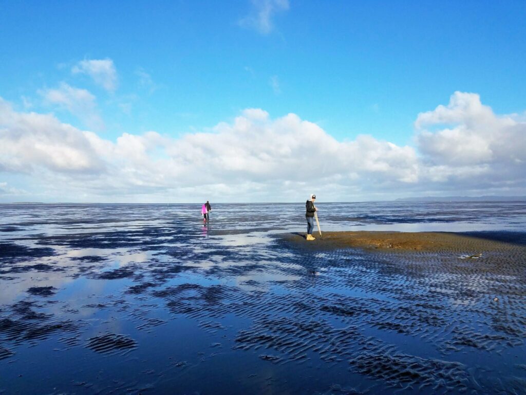 Spending A Weekend In Willapa Bay - Explore Washington State