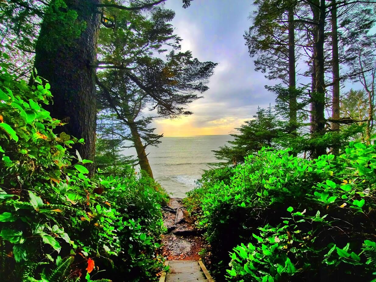 Astonishing Hiking Washington's Coastal Route: A Winter Adventure