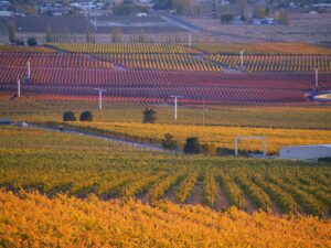 A Season of Thanks in the Tri-Cities | Explore Washington