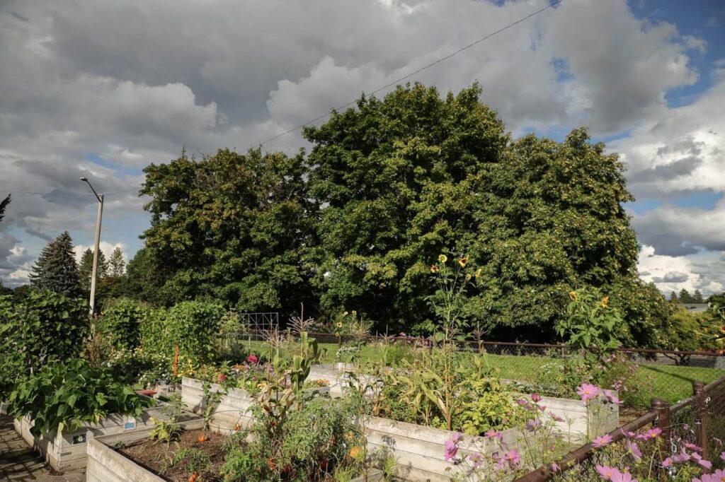 Visiting Spokane's South Perry Neighborhood - Explore Washington State