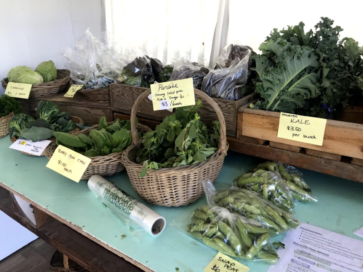Visiting Snoqualmie Valley Farm Stands - Explore Washington State