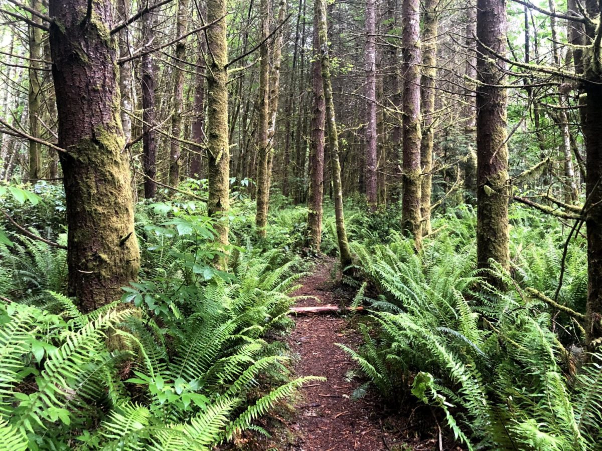 5 Hiking Tips For This Summer - Explore Washington State