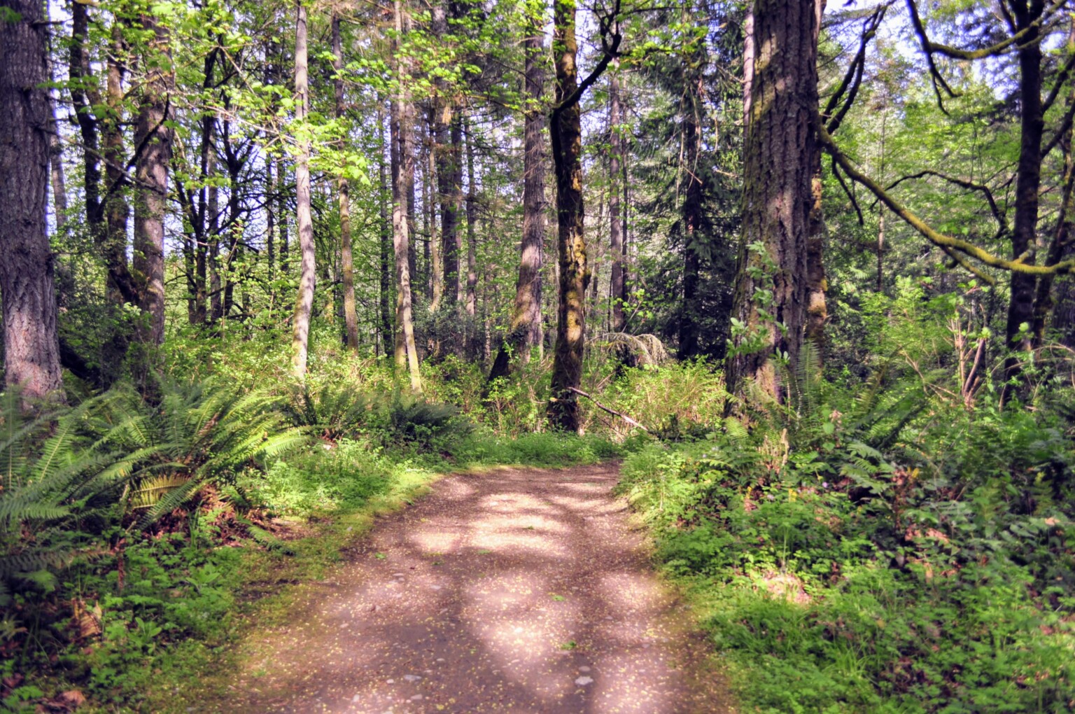 Exploring PenMet Parks - Explore Washington State