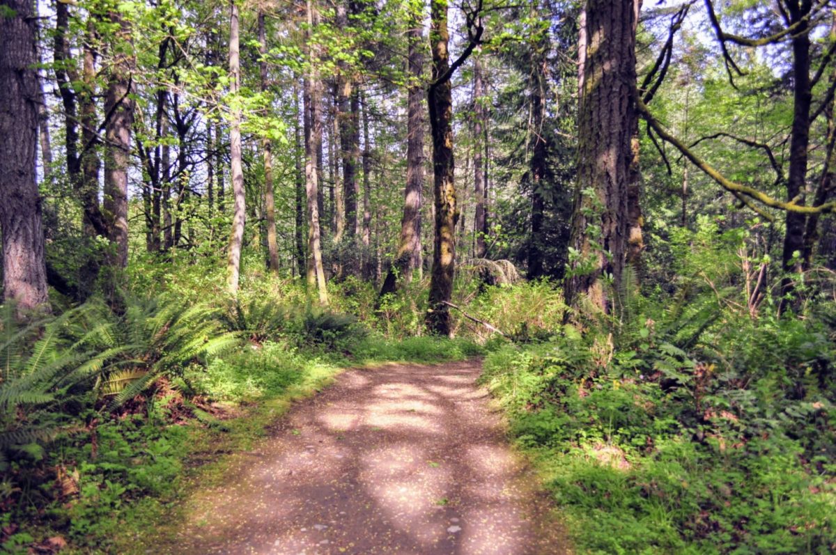 Exploring PenMet Parks - Explore Washington State