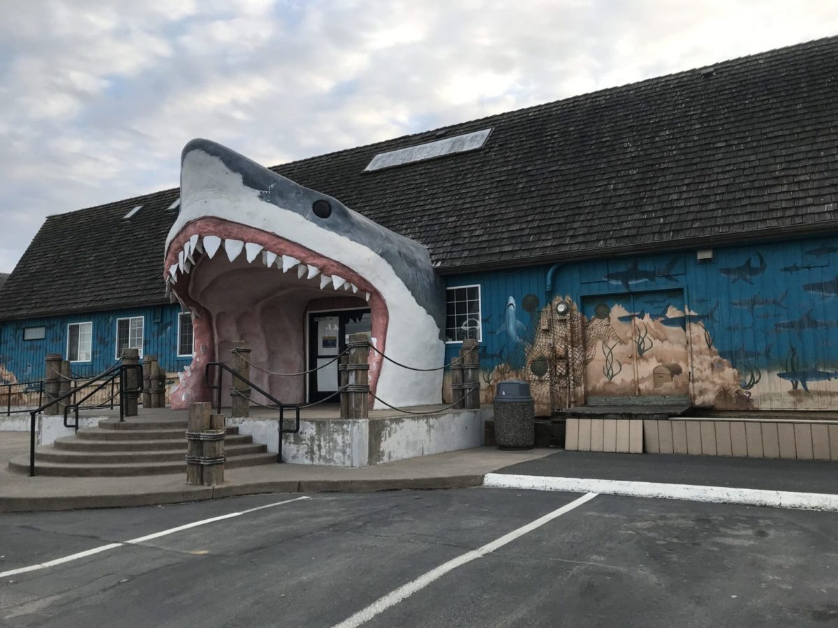 A Weekend In Ocean Shores, Washington - Explore Washington State