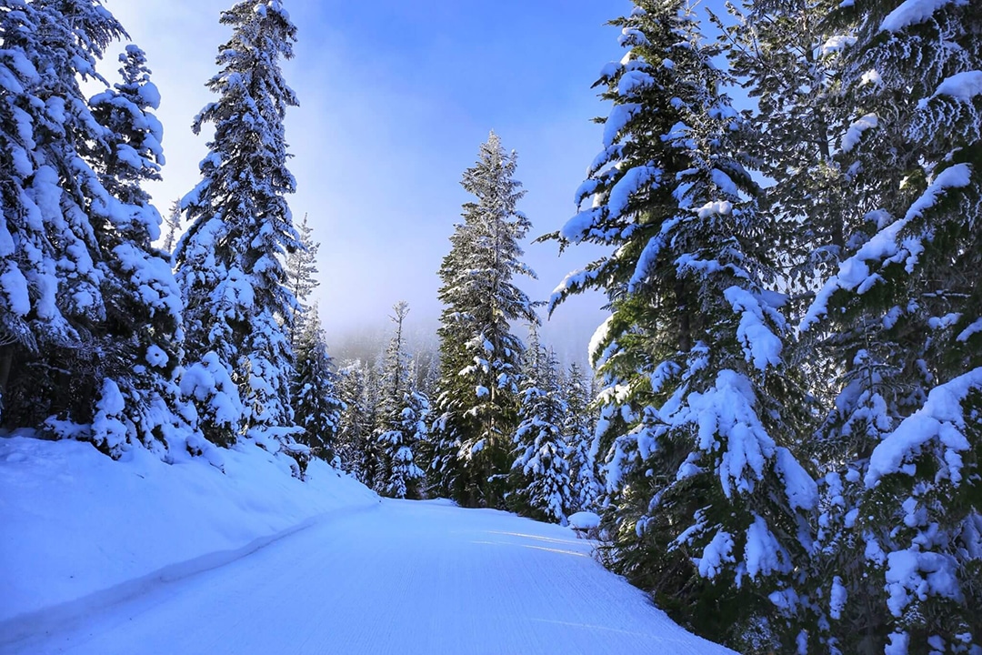 Discover A Weekend In Packwood, WA: Nature Awaits