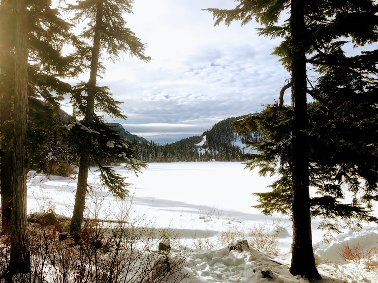 Discover A Weekend In Packwood, WA: Nature Awaits