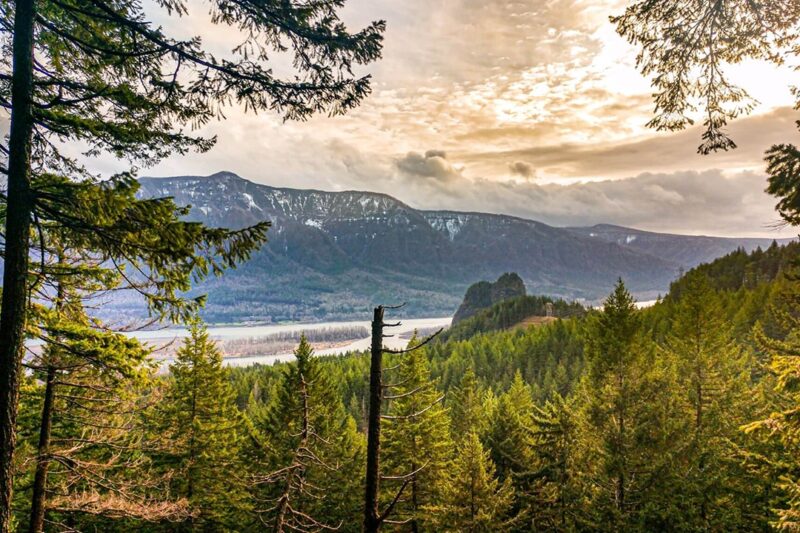 The Grant County Sand Dunes And ORV Park - Explore Washington State