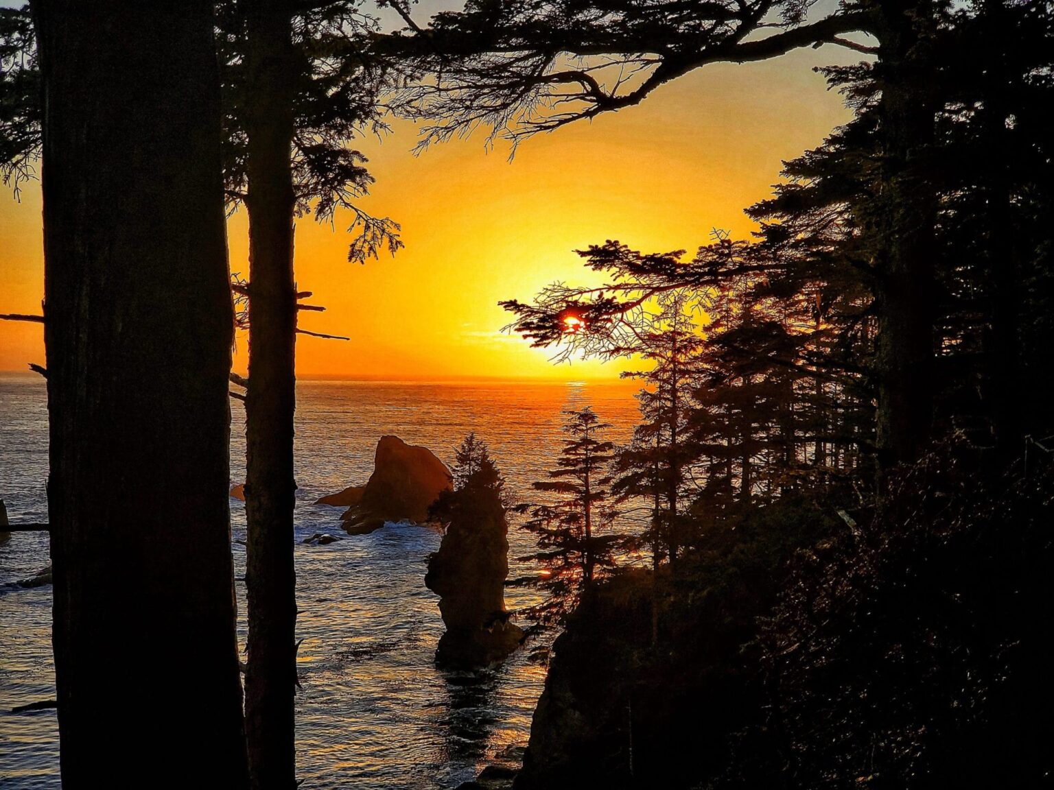 Hiking Cape Flattery And Shi Shi Beach - Explore Washington State