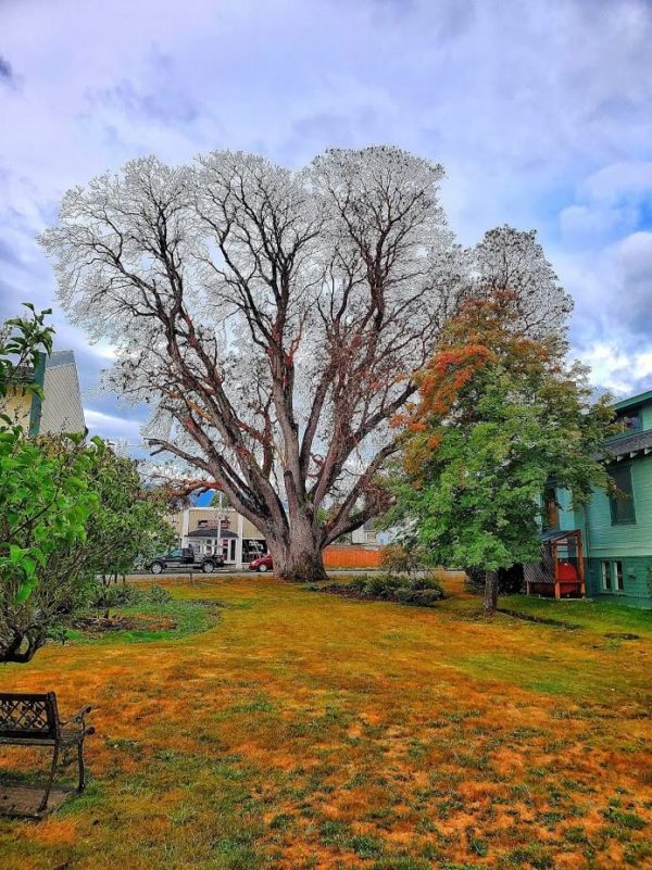 Spending A Day In Port Angeles - Explore Washington State