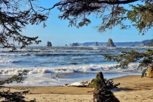 Astonishing Hiking Washington's Coastal Route: A Winter Adventure
