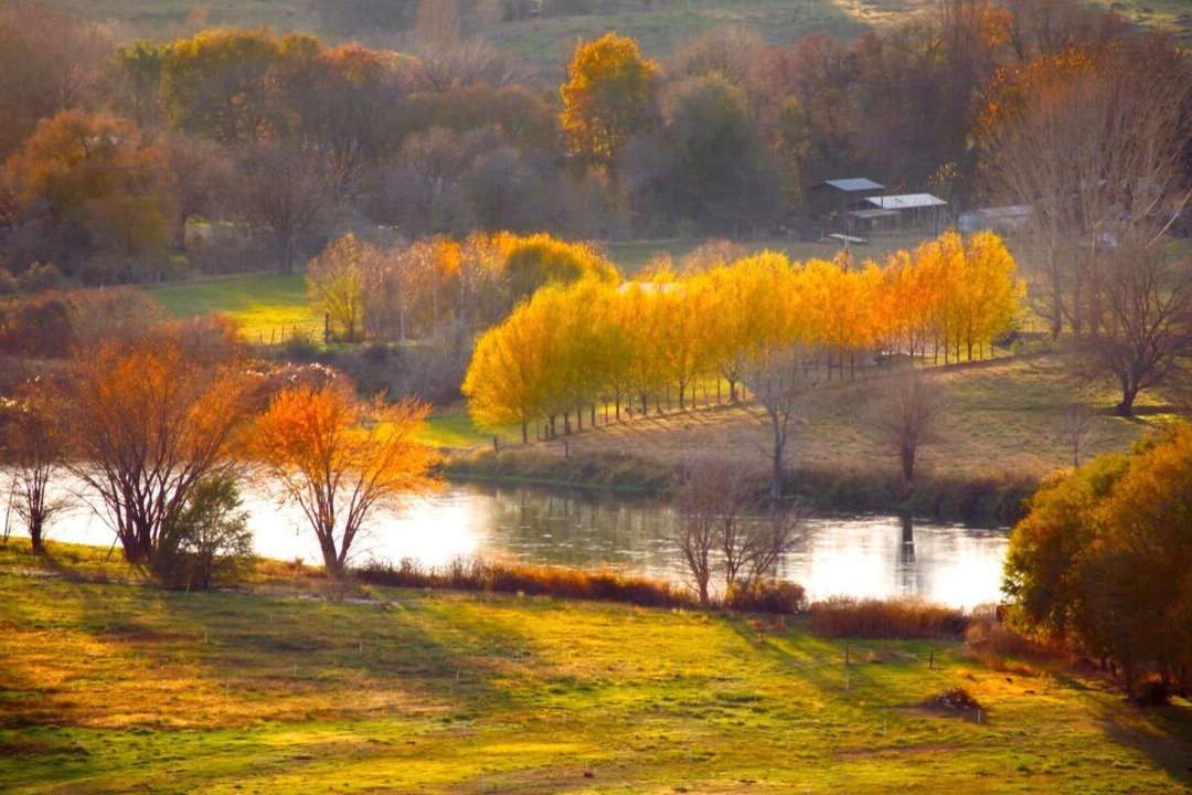 A Season of Thanks in the Tri-Cities | Explore Washington