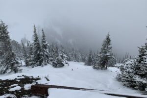 Exploring The Mountain Town Of Packwood, Washington - Explore ...