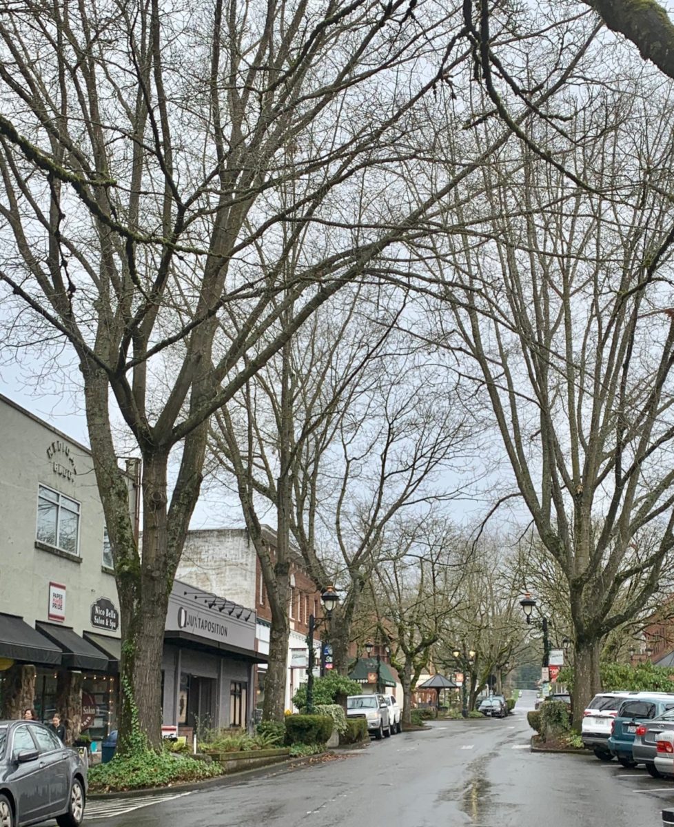 Spending A Day In Downtown Camas - Explore Washington State