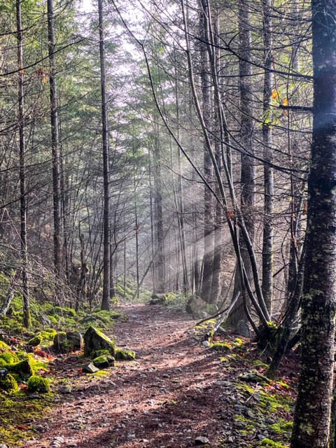 Hiking Teneriffe Falls - Explore Washington State