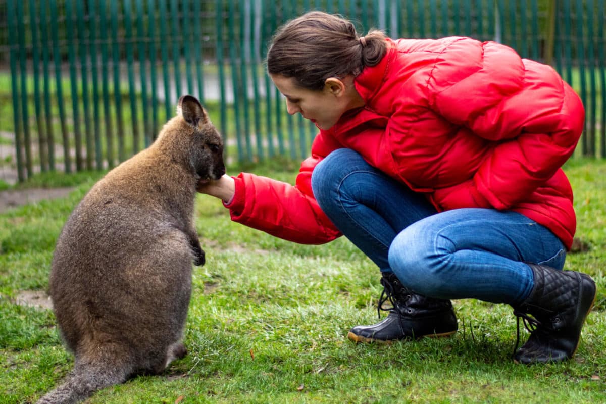 Visiting Wallaby Ranch In Fall City - Explore Washington State
