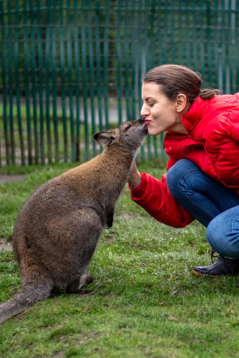 Visiting Wallaby Ranch In Fall City - Explore Washington State