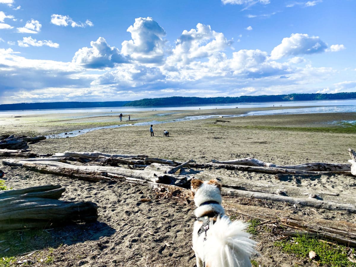 Exploring Dash Point State Park - Explore Washington State
