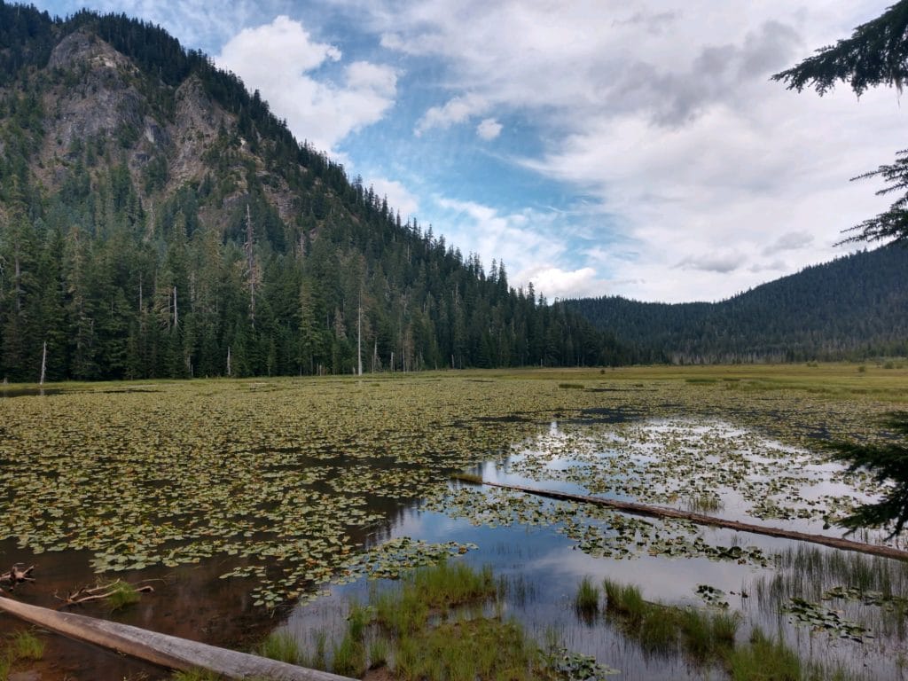 Hiking Goat Marsh Trail - Explore Washington State