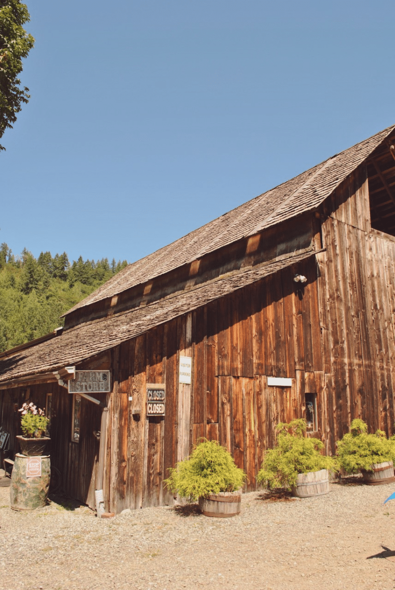 Visiting Canter-Berry Farms: More Than Just A U-Pick Blueberry Farm ...