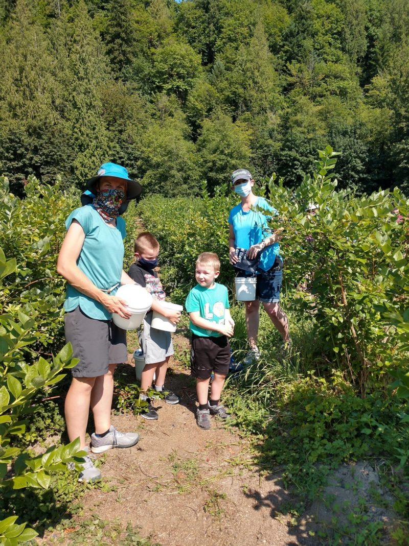 Visiting Canter-Berry Farms: More Than Just A U-Pick Blueberry Farm ...
