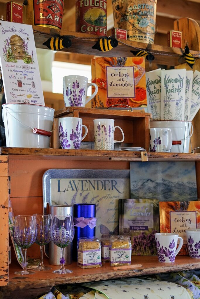 Visiting Purple Haze Lavender Farm - Explore Washington State