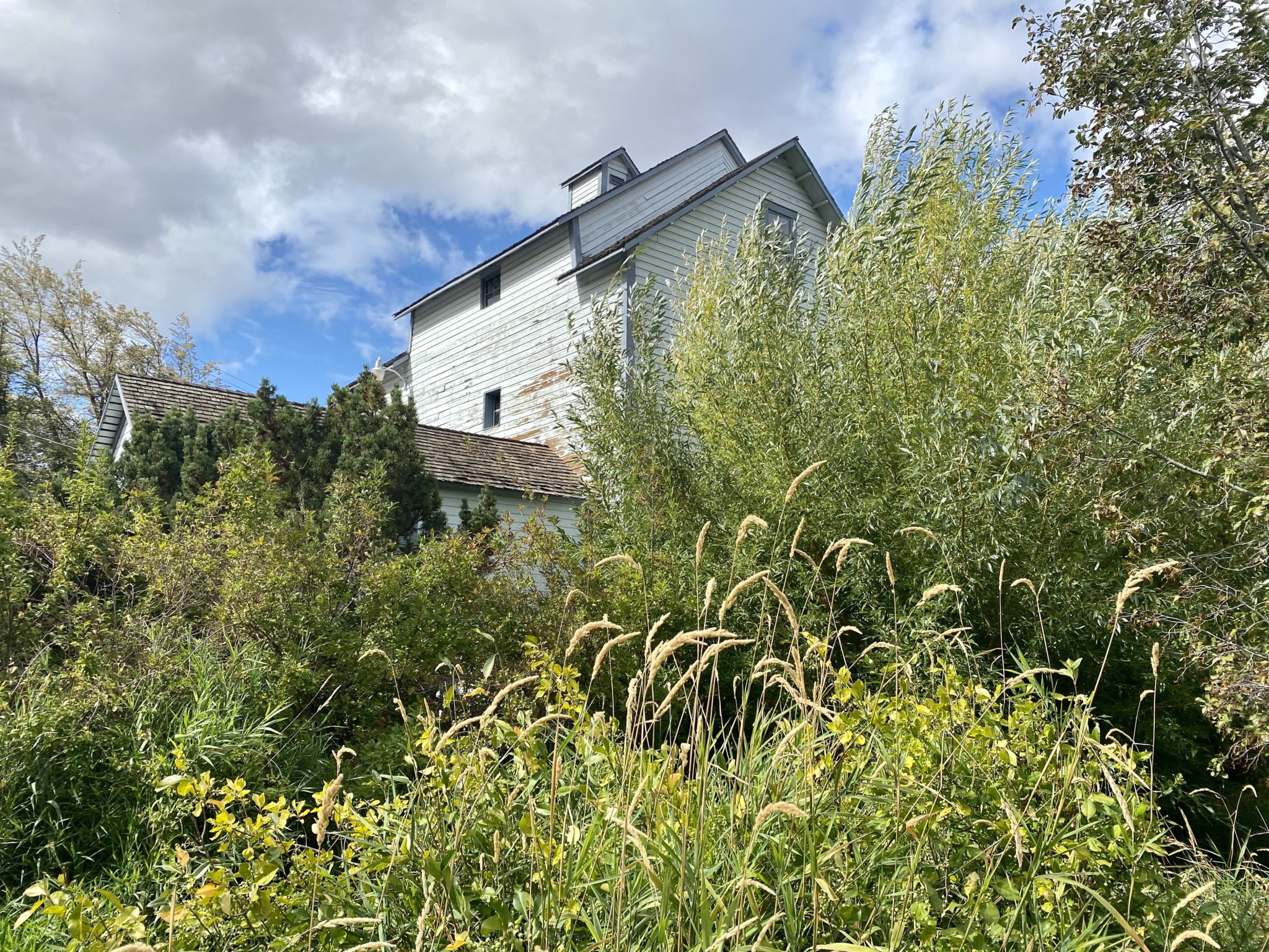 Discover Thorp Mill: A Historic Gem In Washington State