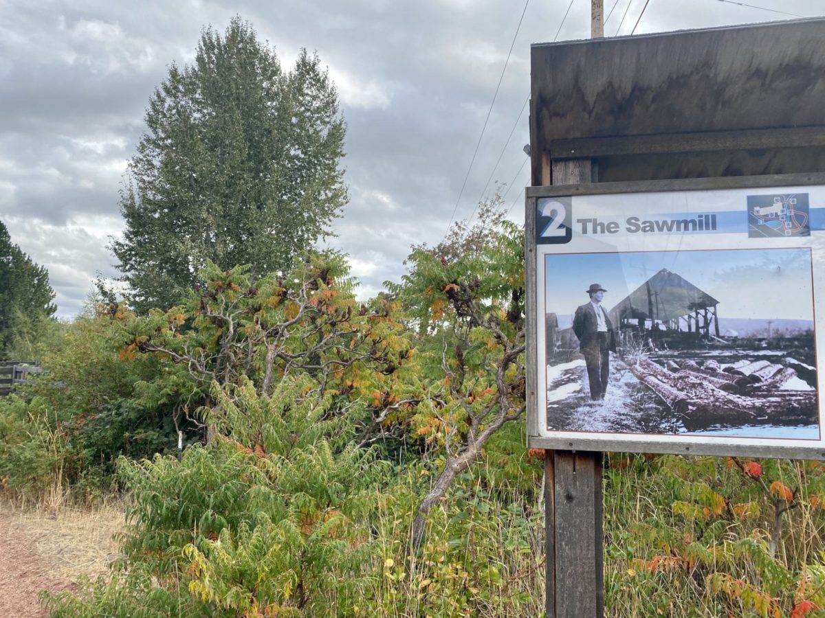 Discover Thorp Mill: A Historic Gem In Washington State