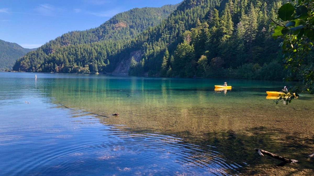 Discover Lake Crescent: A Gem Of Washington State