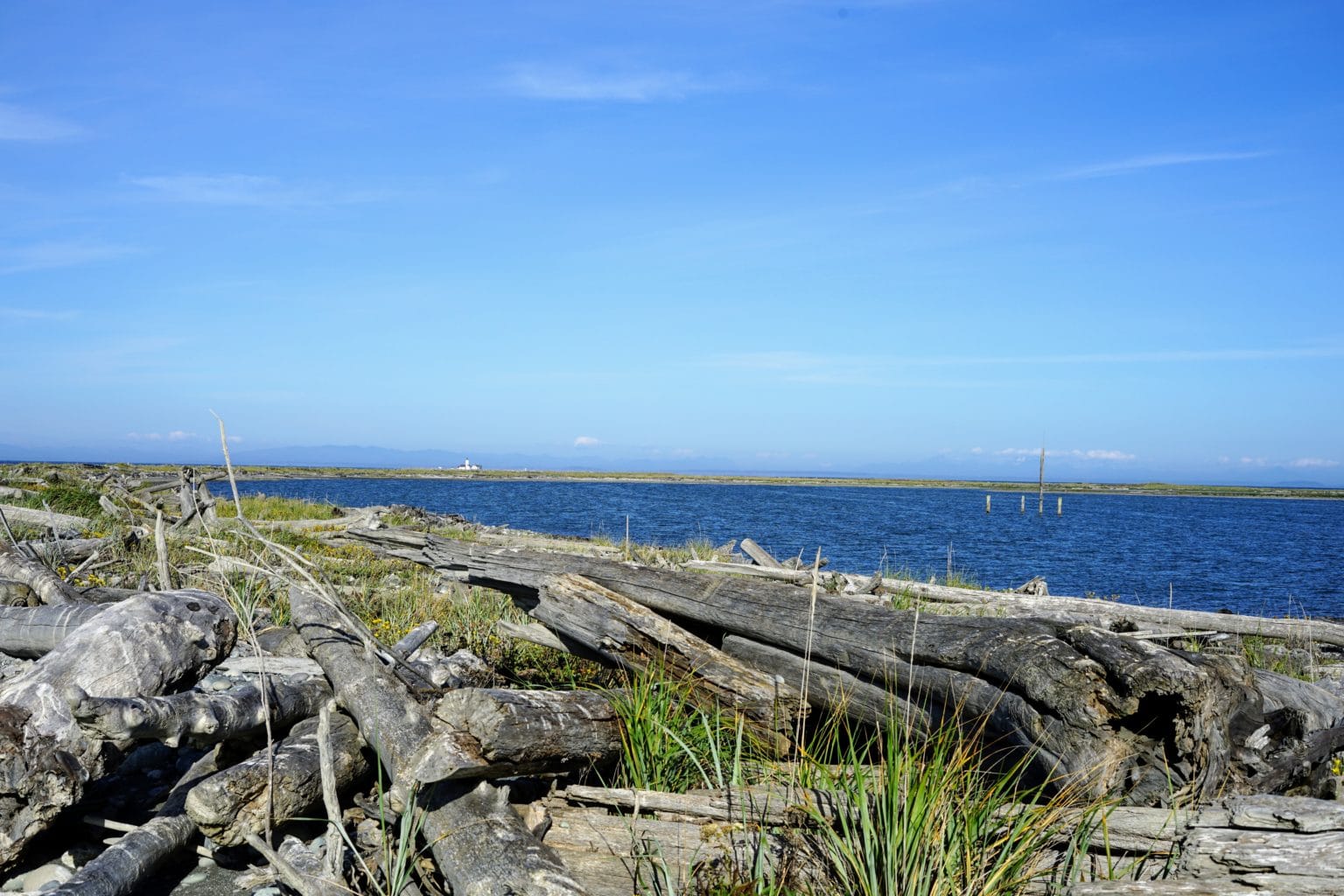 Hiking The Dungeness Spit - Explore Washington State