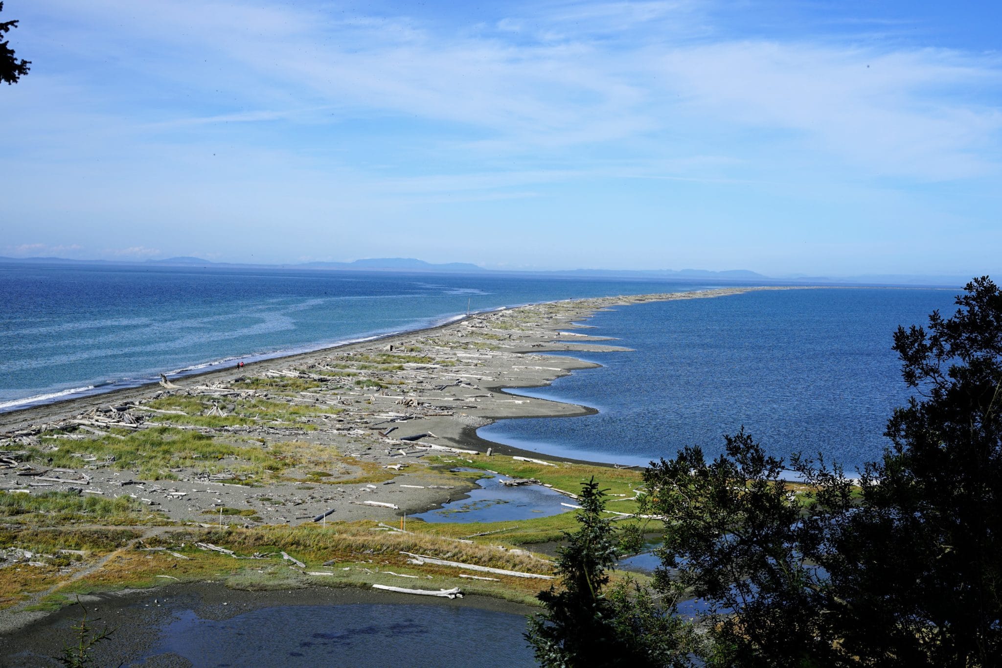 Hiking The Dungeness Spit - Explore Washington State