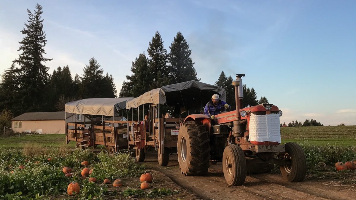 Celebrate Fall At Bi-Zi Farms Pumpkin Patch - Explore Washington State