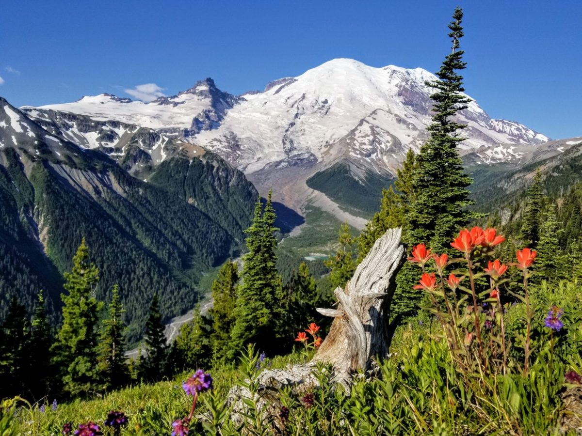 A Beginner's Guide To Backpacking In Washington - Explore Washington State