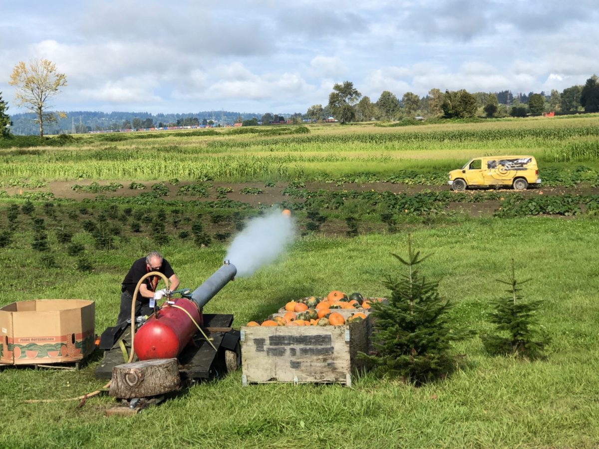Visiting Stocker Farms For Fall Days - Explore Washington State
