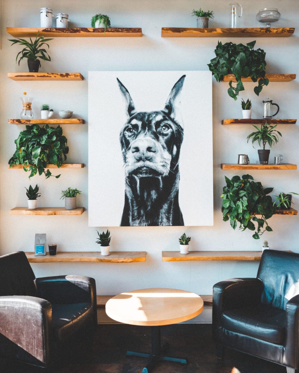 5 Unique Cafés In Seattle That Aren't Arbucks